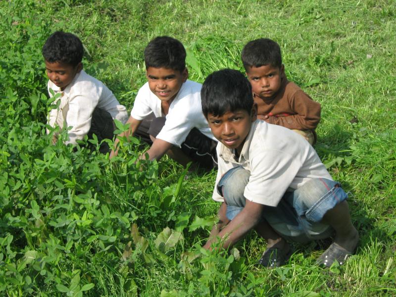 Diwa Foundation | Stichting Diwa